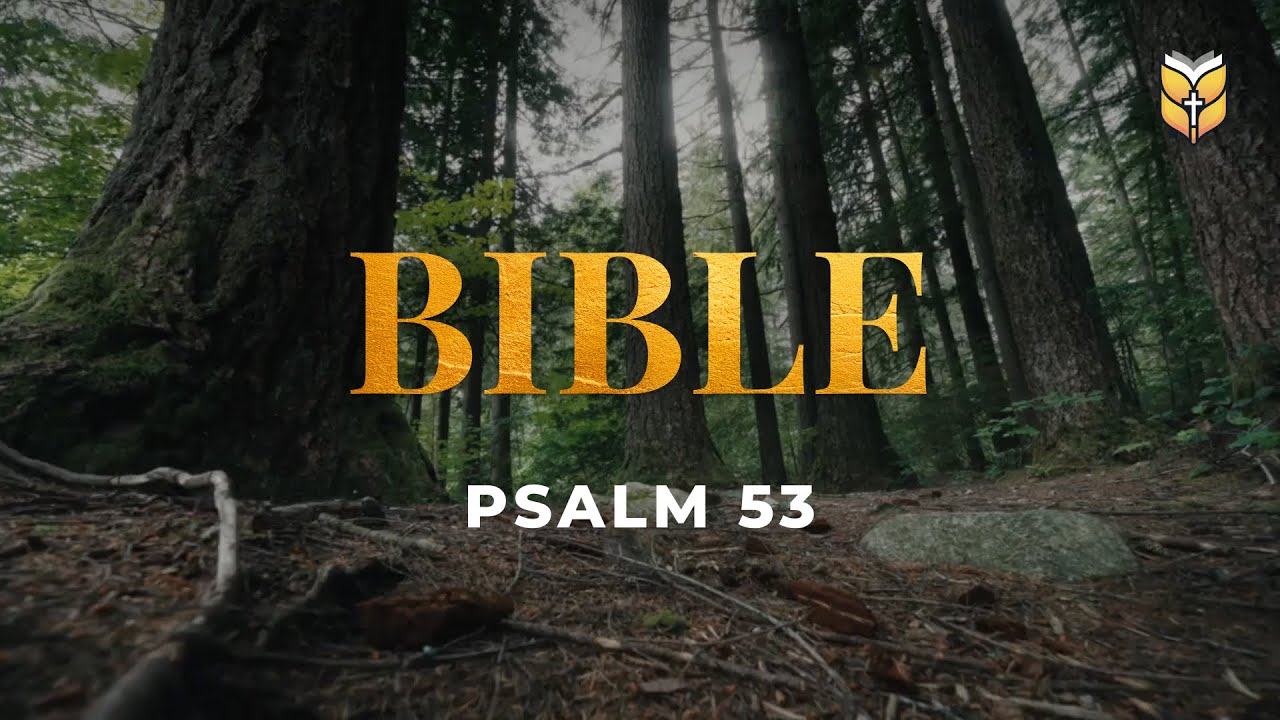 Psalm 53 - Holy Bible (NIV) #biblevision - YouTube