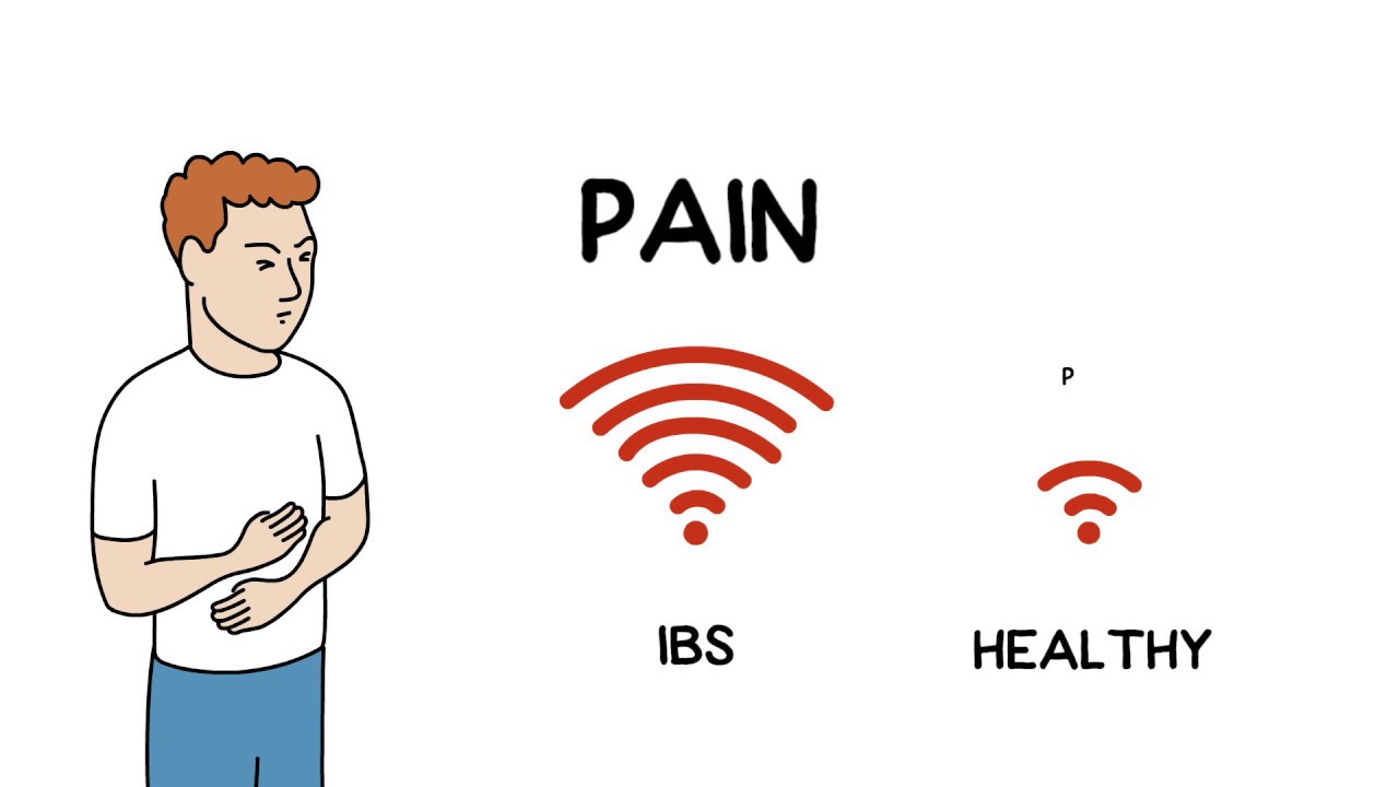 Gut Itch Animation - YouTube