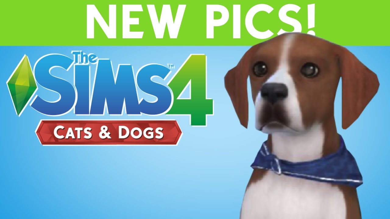 SIMS 4 CATS & DOGS - NEW PICS! *CUTE!* - YouTube