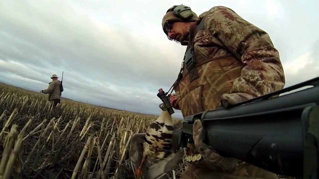 GoPro Waterfowl Hunting - YouTube