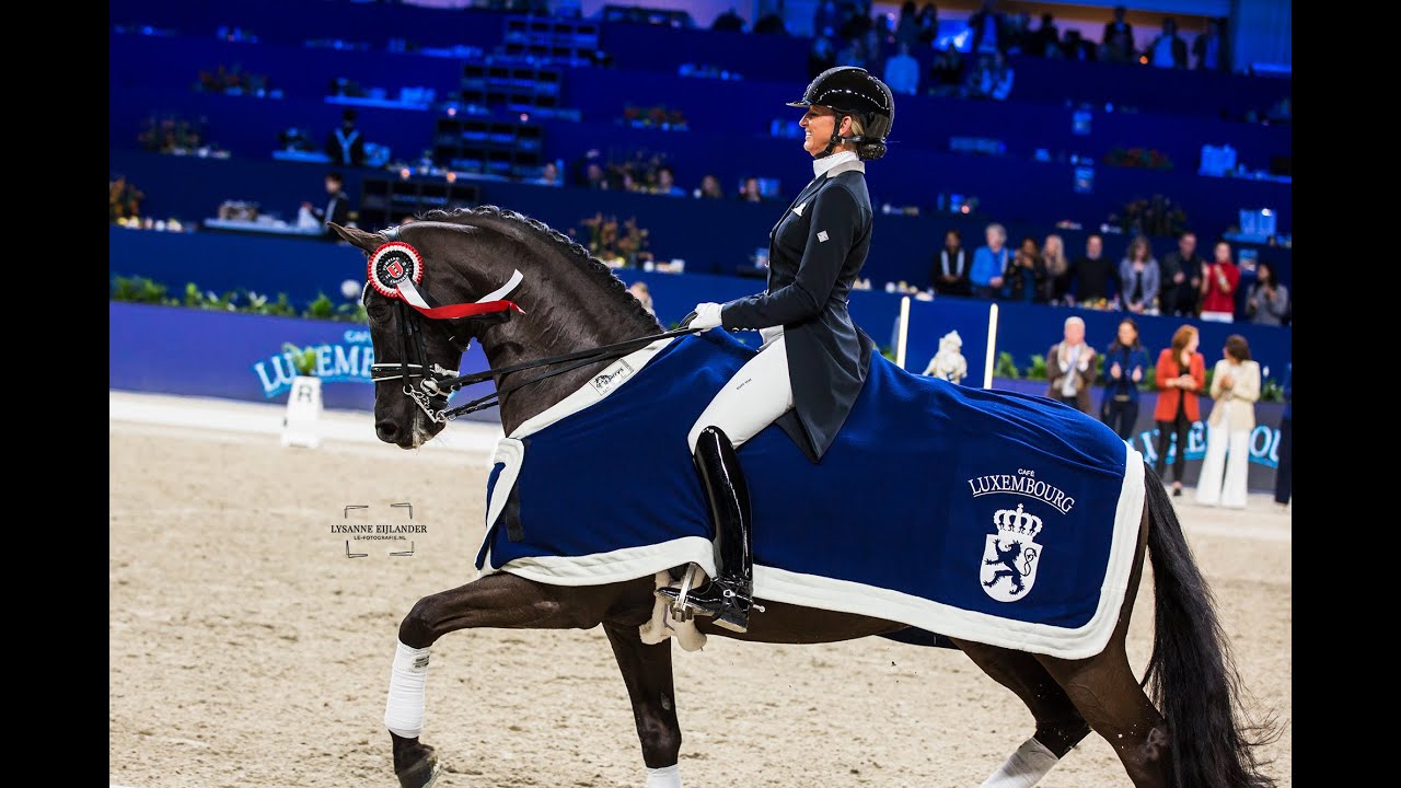 Marlies van Baalen & Jacky Kennedy DVB - Freestyle Jumping Amsterdam 2023 - YouTube