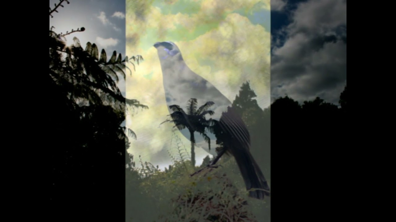 Salmonella Dub For the Love of it -live feat. Whirimako Black Richard ...