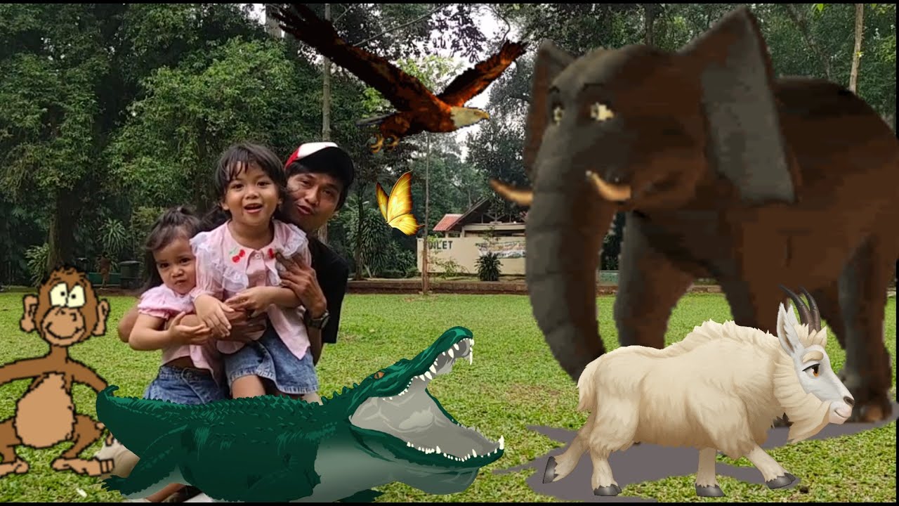 aku punya binatang gajah,buaya.kambing.kodok.burung,monyet.kucing suara ...