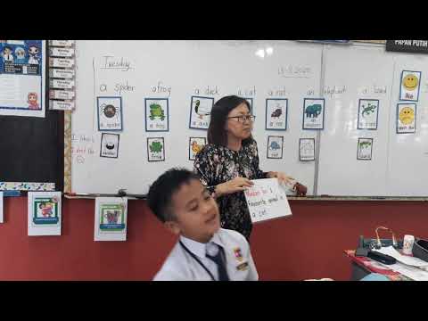 LESSON DEVELOPMENT AND POST LESSON - YouTube
