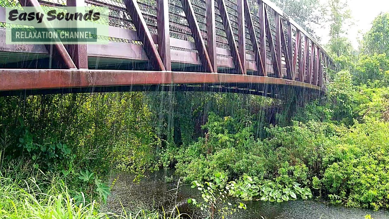 HEAVY Rain at the FOREST Bridge-Distant Thunder & Tropical Sounds ...