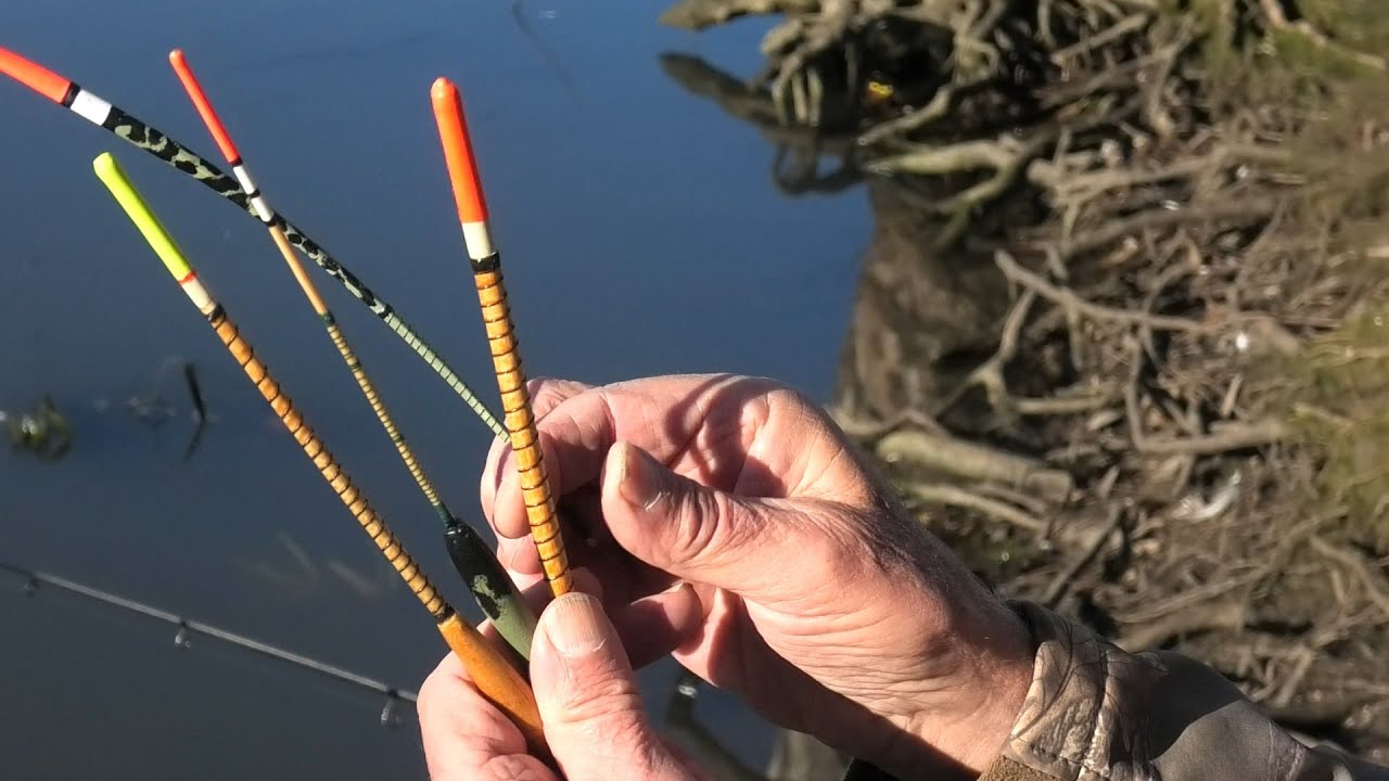 Waggler float fishing for carp in Australia #carpfishing #carp #waggler ...