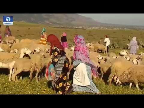 21st Century: Moroccan Women Breaking Out Of Traditional Roles