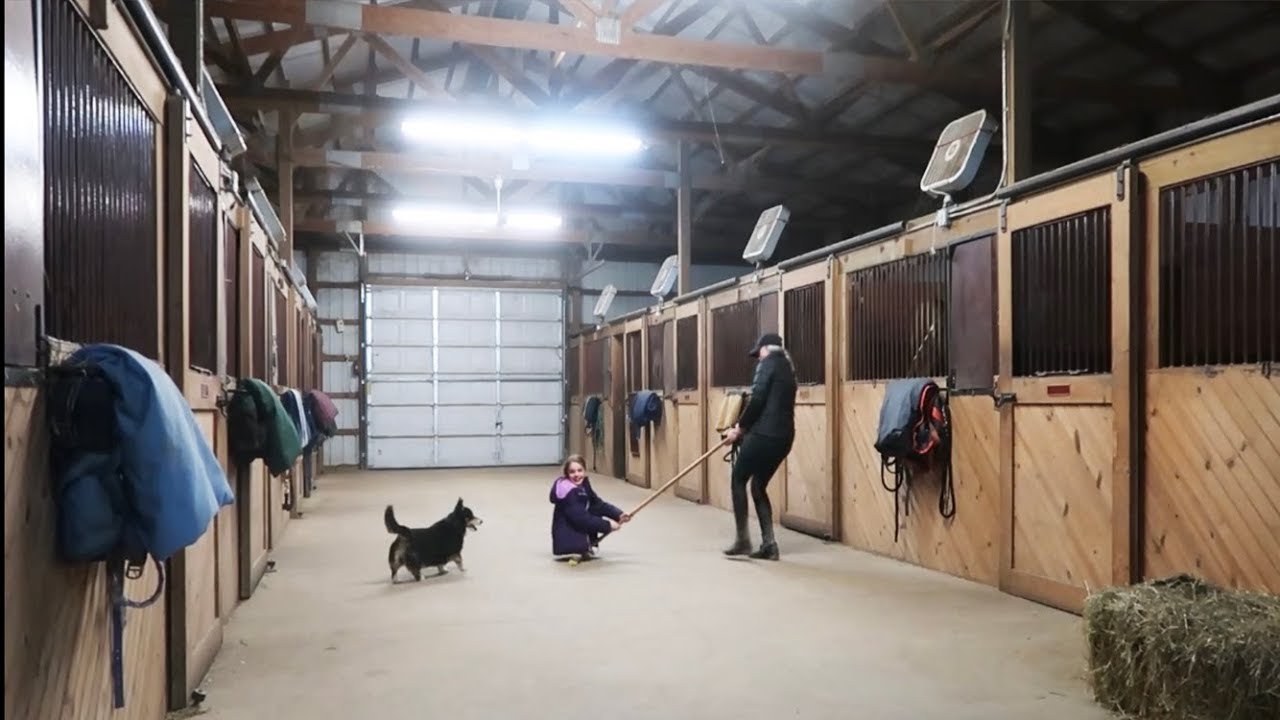 STAYING UP ALL NIGHT @ BARN (i failed again) - YouTube