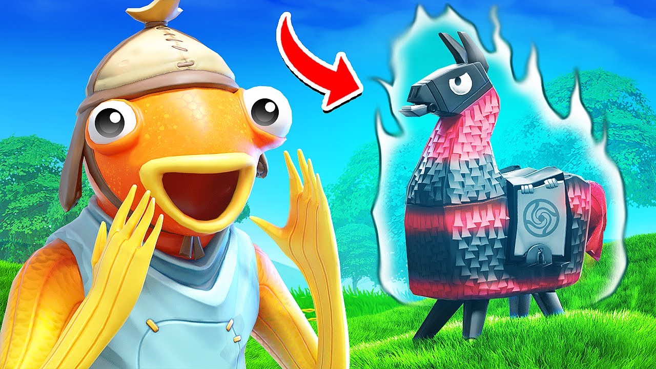 THE *NEW* CURSED LLAMAS! - YouTube