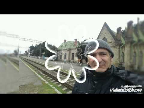 ViDEOROLiK:        \