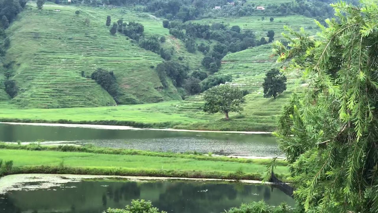 Khaste Lake Pokhara - YouTube