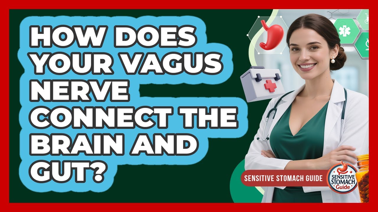 How Does Your Vagus Nerve Connect The Brain And Gut? - Sensitive ...