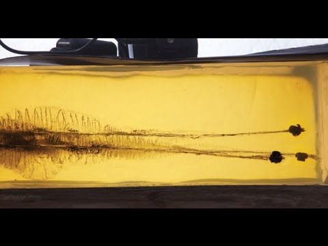 Homemade Ballistics Gel - YouTube