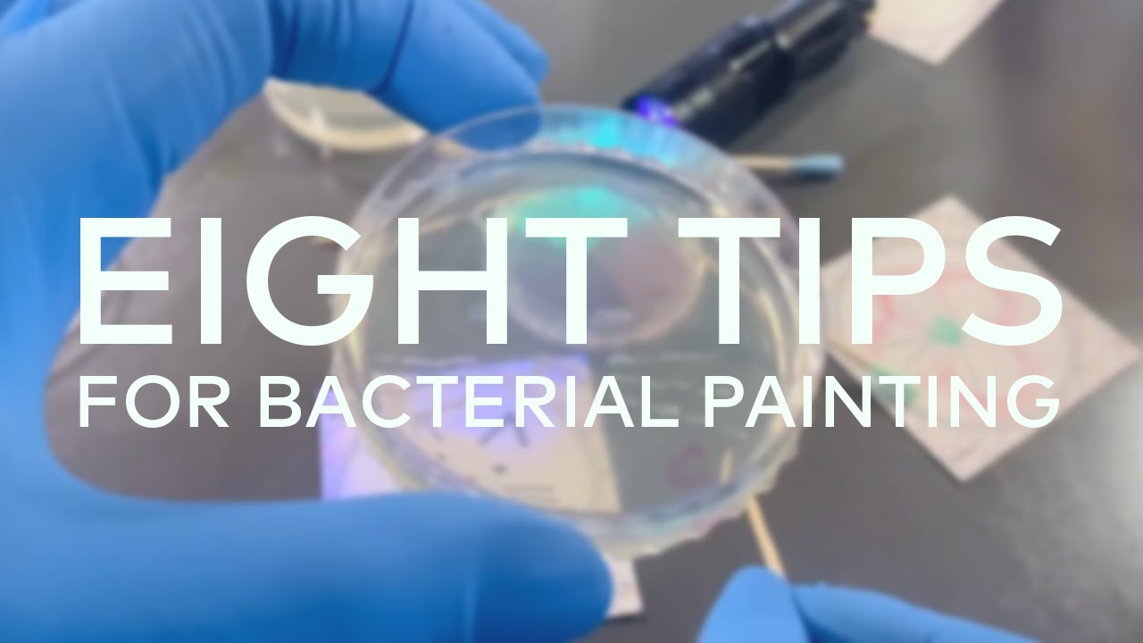 Bacteria Painting: Tips for Beginners - YouTube