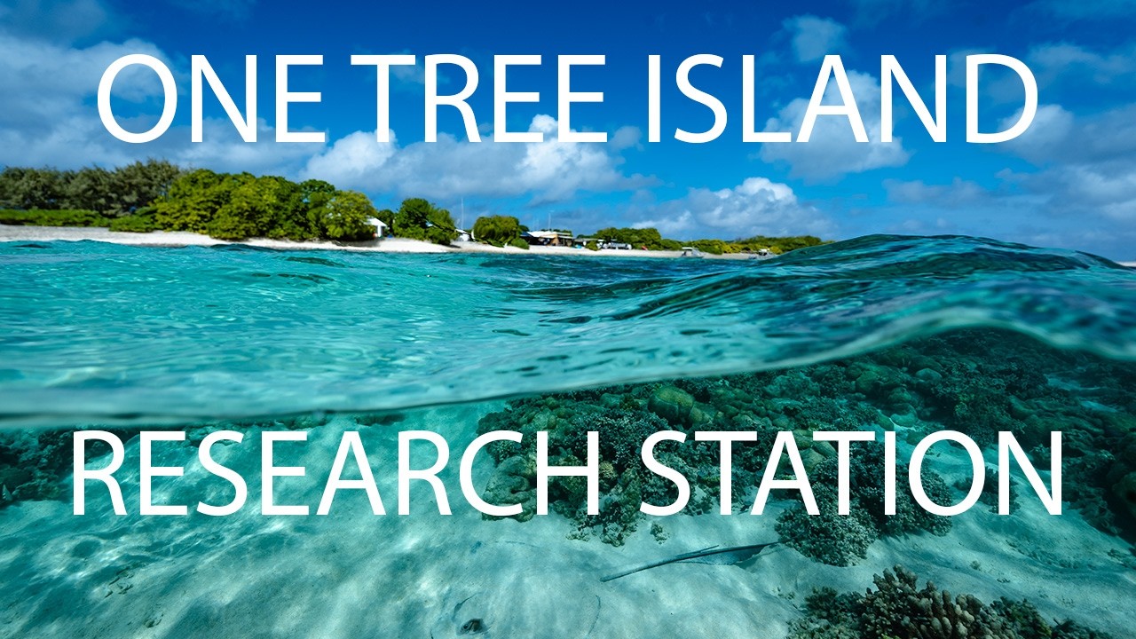 One Tree Island Adventure and Research - YouTube