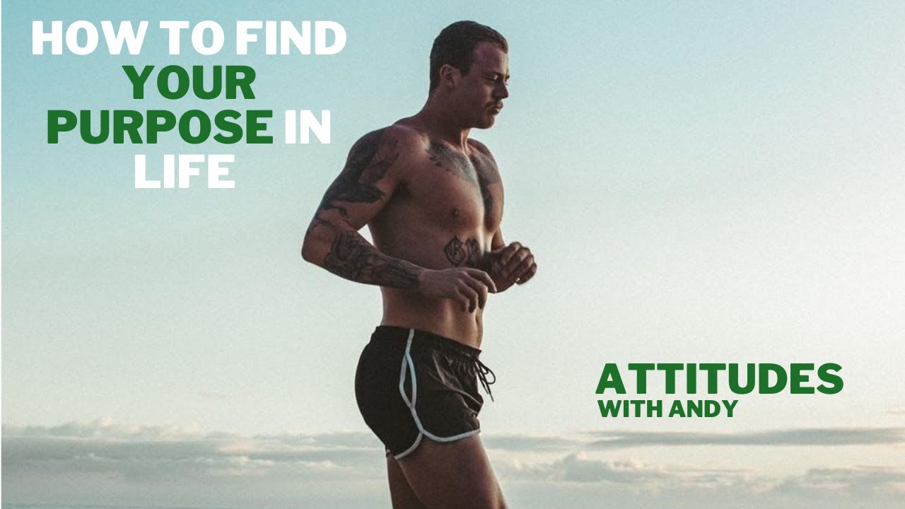 HOW to find your purpose & live in alignment - Adam Green - YouTube