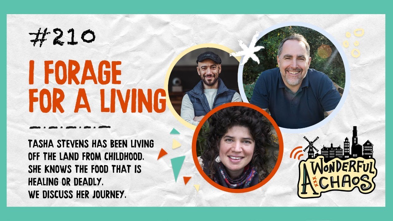 Ep. 210 LIVE | I forage for a living with Tasha Stevens - YouTube