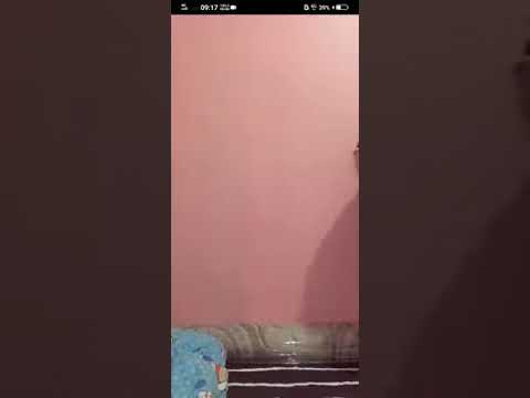 AWEK T GELEK NAMAPK AP3M EMBEM