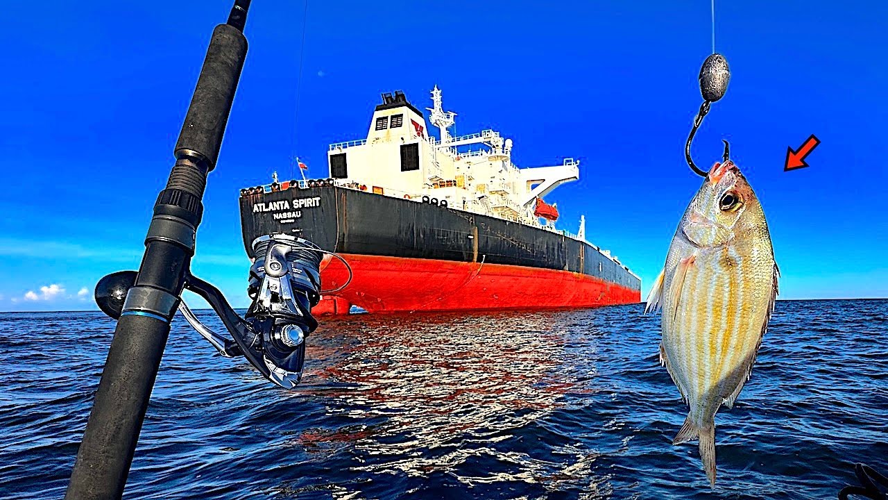 Fishing a LIVE! PINFISH under this FREIGHTER Ship in the GULF for my ...