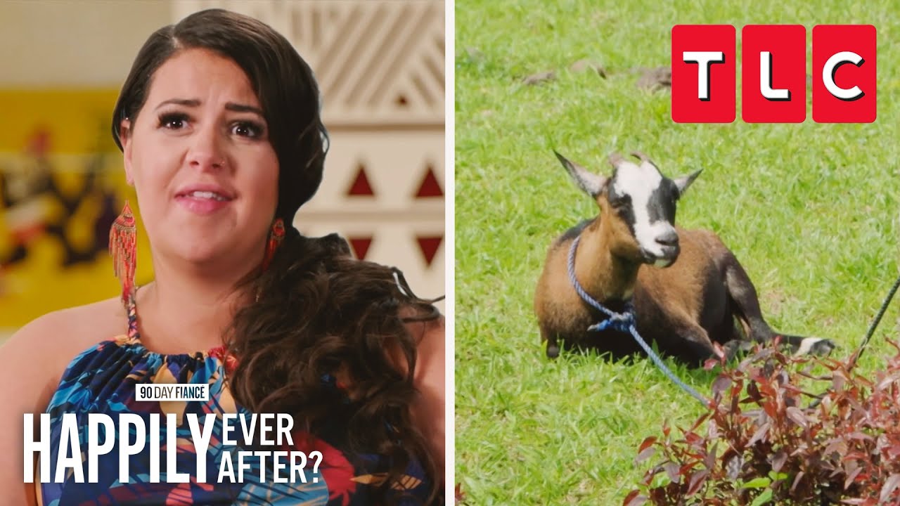One Goat for One Emily | 90 Day Fiancé: Happily Ever After | TLC - YouTube