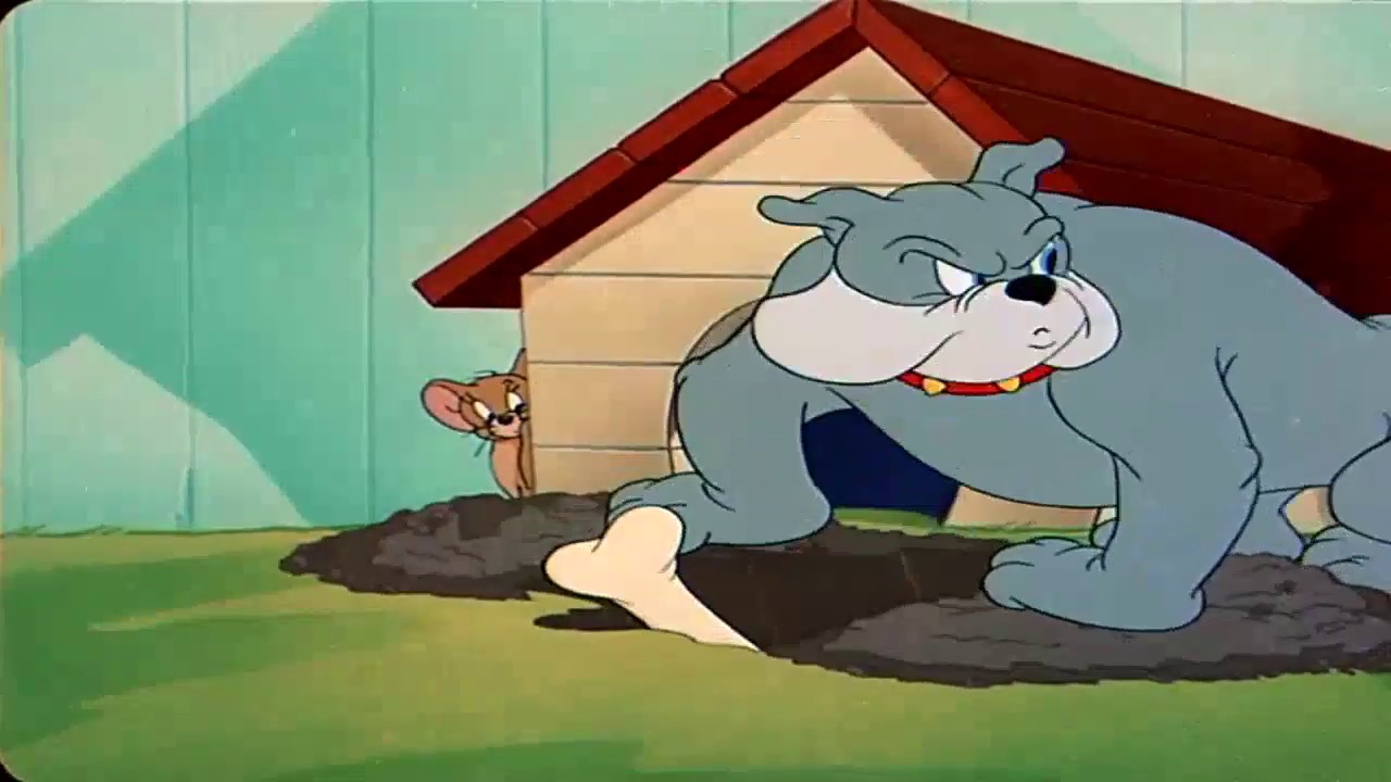 Tom Jerry , 12 Episode / baby kids - YouTube