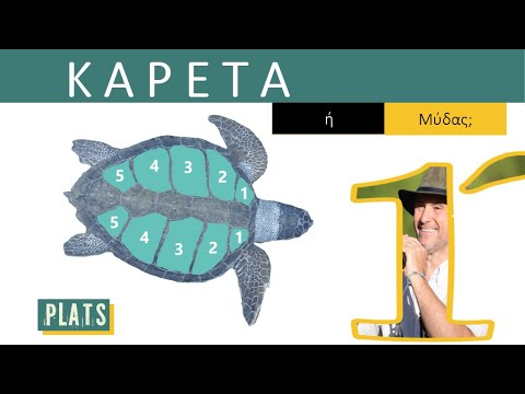 ΚΑΡΕΤΑ ή ΜΥΔΑΣ; Πώς τις ξεχωρίζουμε; - YouTube