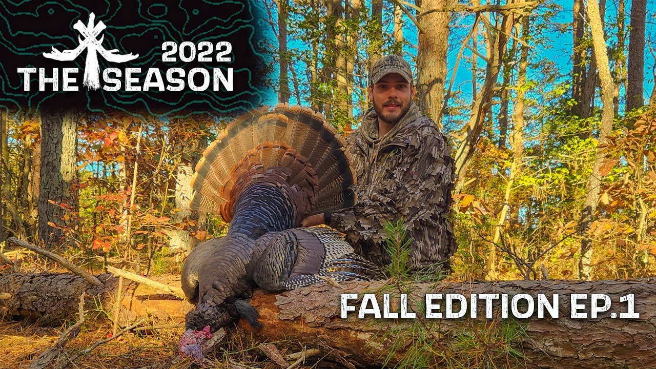 INCREDIBLE FALL TURKEYS AT 5 YARDS / UP CLOSE GOBBLING - YouTube