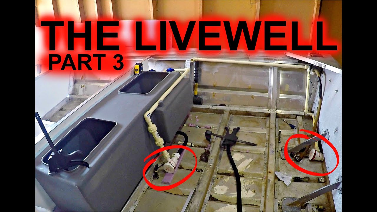 The Livewell Part 3 - YouTube