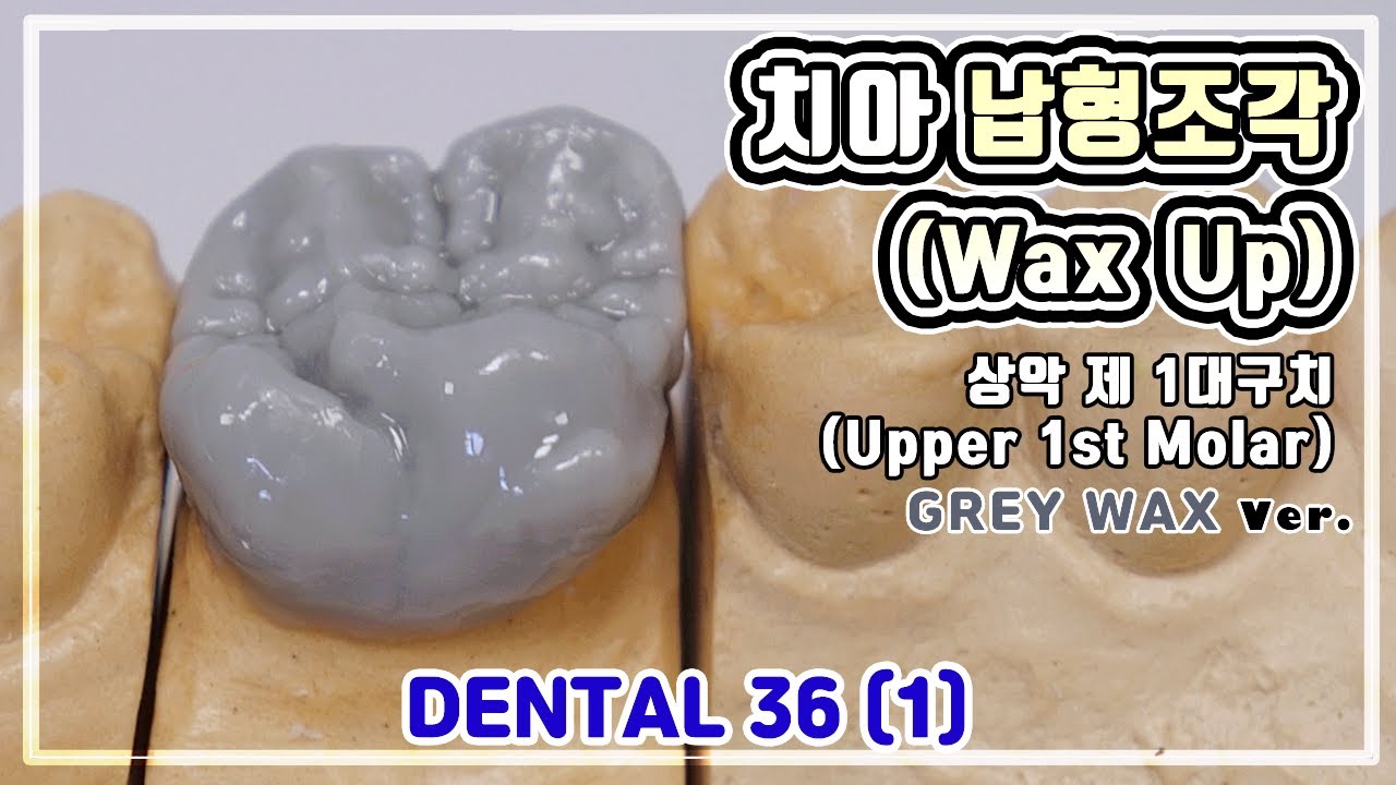 Wax up (Upper 1st molar, Grey wax Ver.) (DentiEDU), [4K] - YouTube