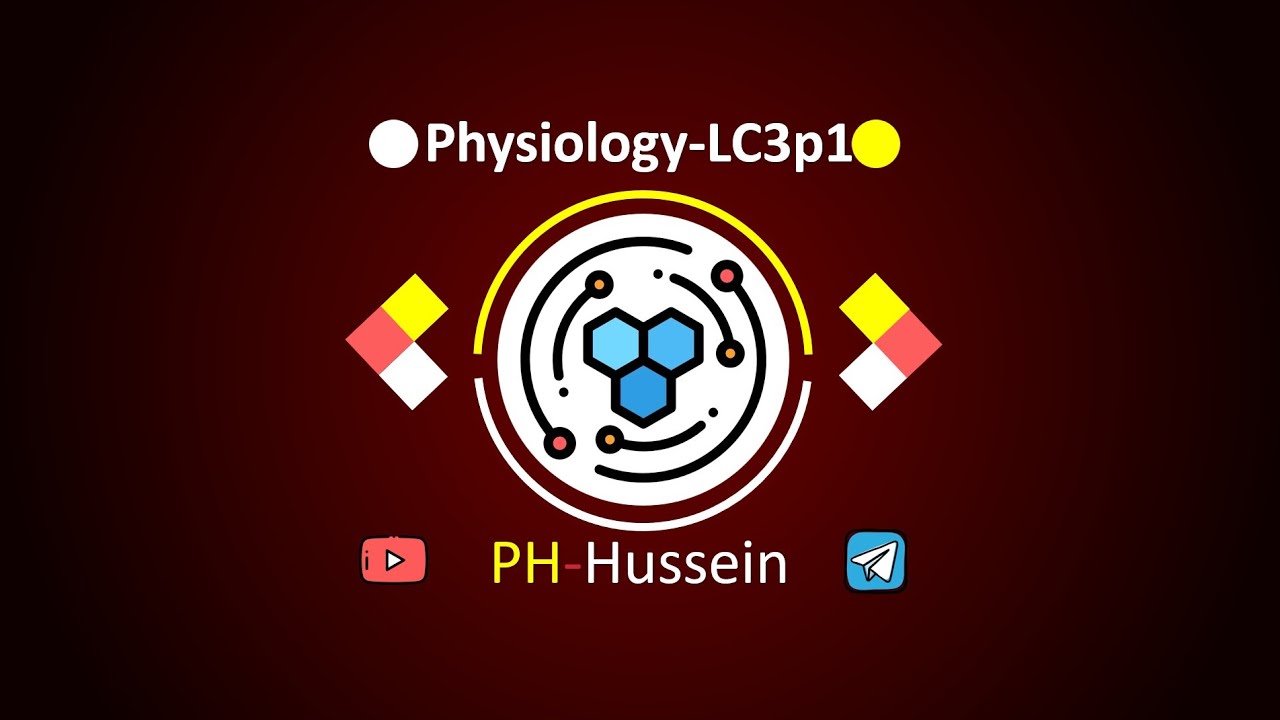 Physiology LC3-P2 - YouTube