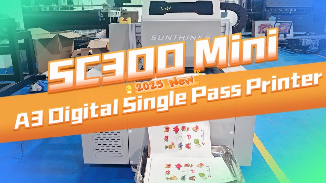 Sunthinks SC300 mini The Smallest and Cheapest Single Channel Digital ...