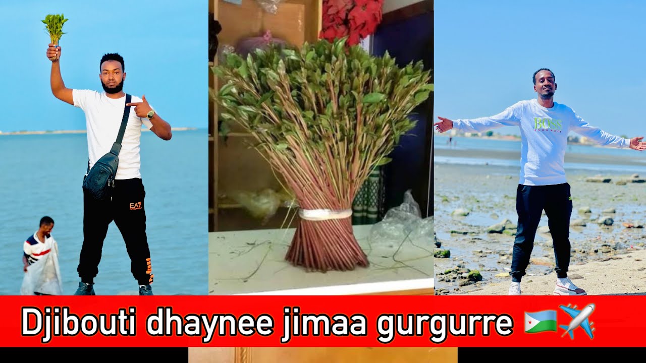 Hamza Oromo fii Obsa techno jimaa Djibouti geessani gurguran 🇩🇯 ️ - YouTube