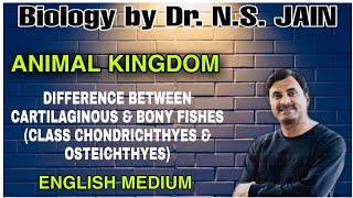 Difference between Cartilaginous & Bony Fishes (Class Chondrichthyes & Osteichthyes) | In English