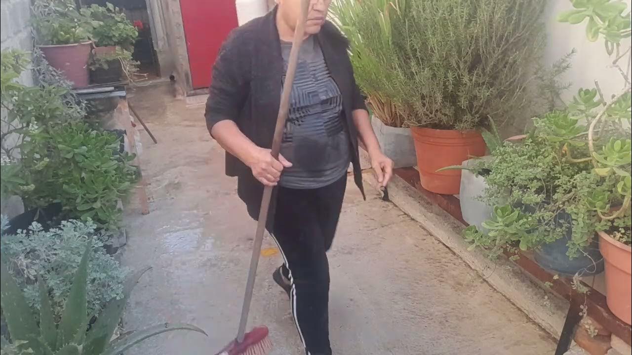 limpiando y regando mis plantas y fregando mis trastes - YouTube