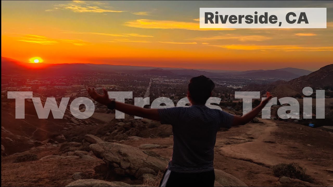 Vlog 8: Trek to the top of our city mountain | Two Trees Trail ...