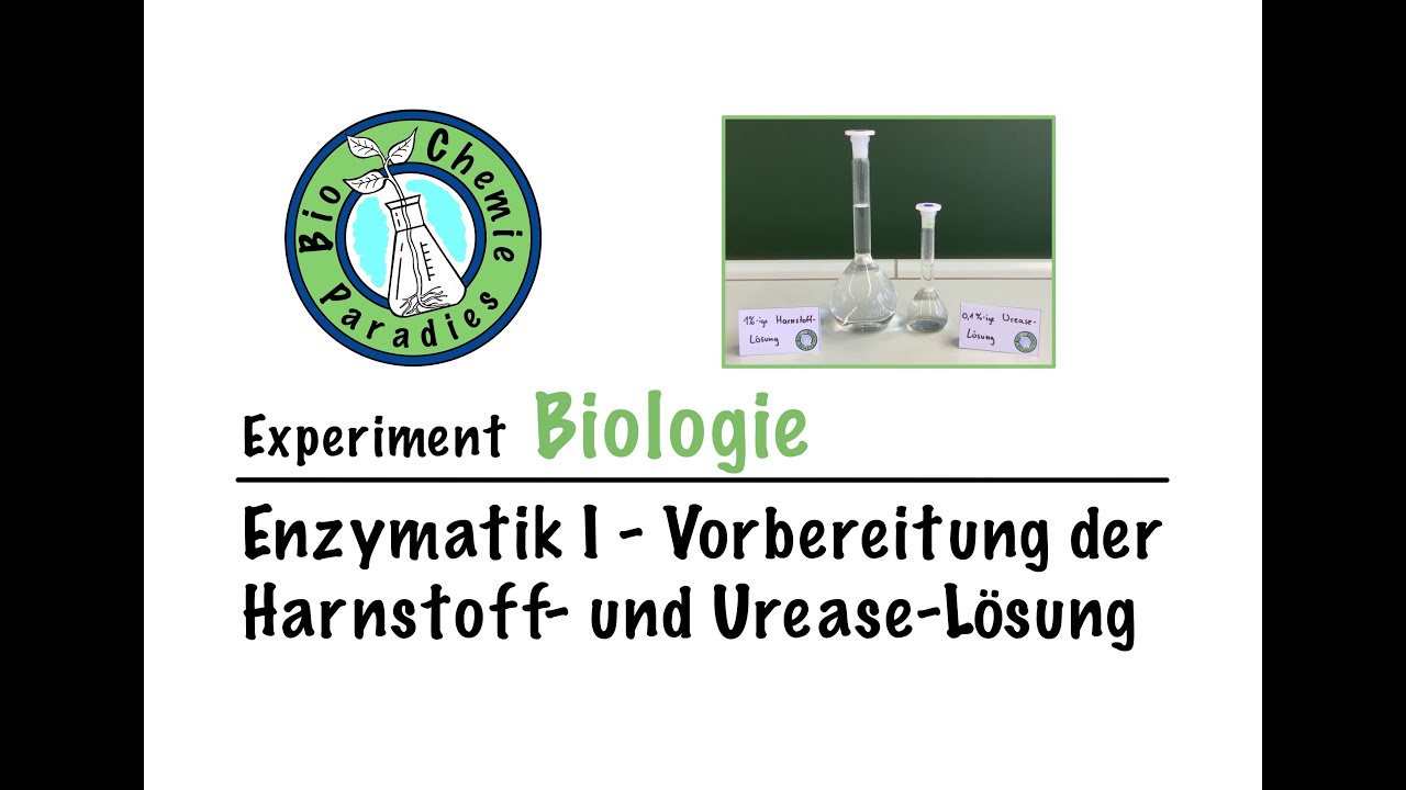 Experiment Biologie – Enzymatik I – Vorbereitung der Harnstoff- und ...
