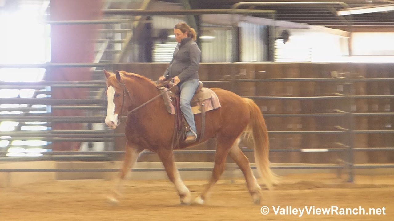 Redford - riding in indoor arena #1 - ValleyViewRanch.net - YouTube