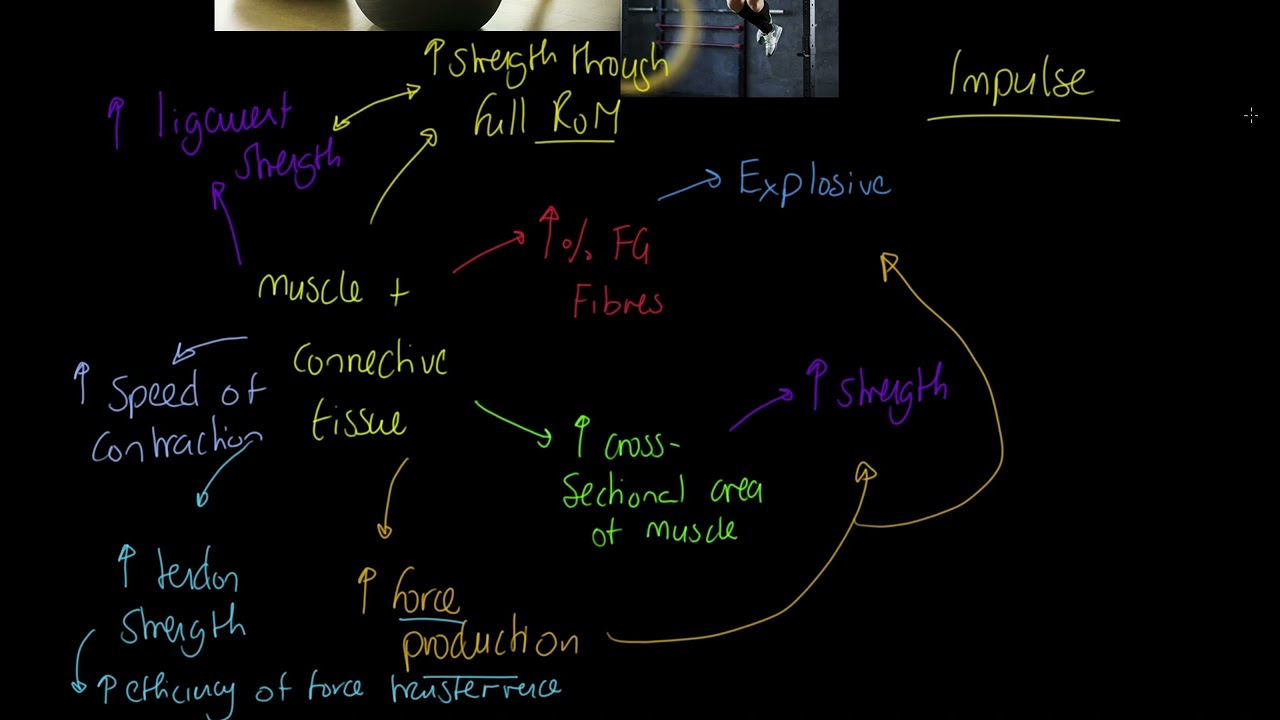 OCR A-level PE: Strength Adaptations - YouTube