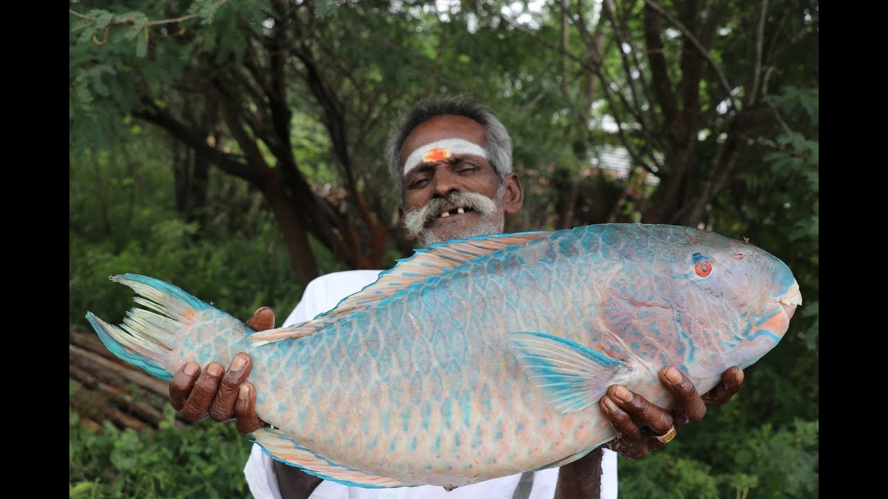Parrot FISH Prepared by my daddy in my village / Village food factory ...