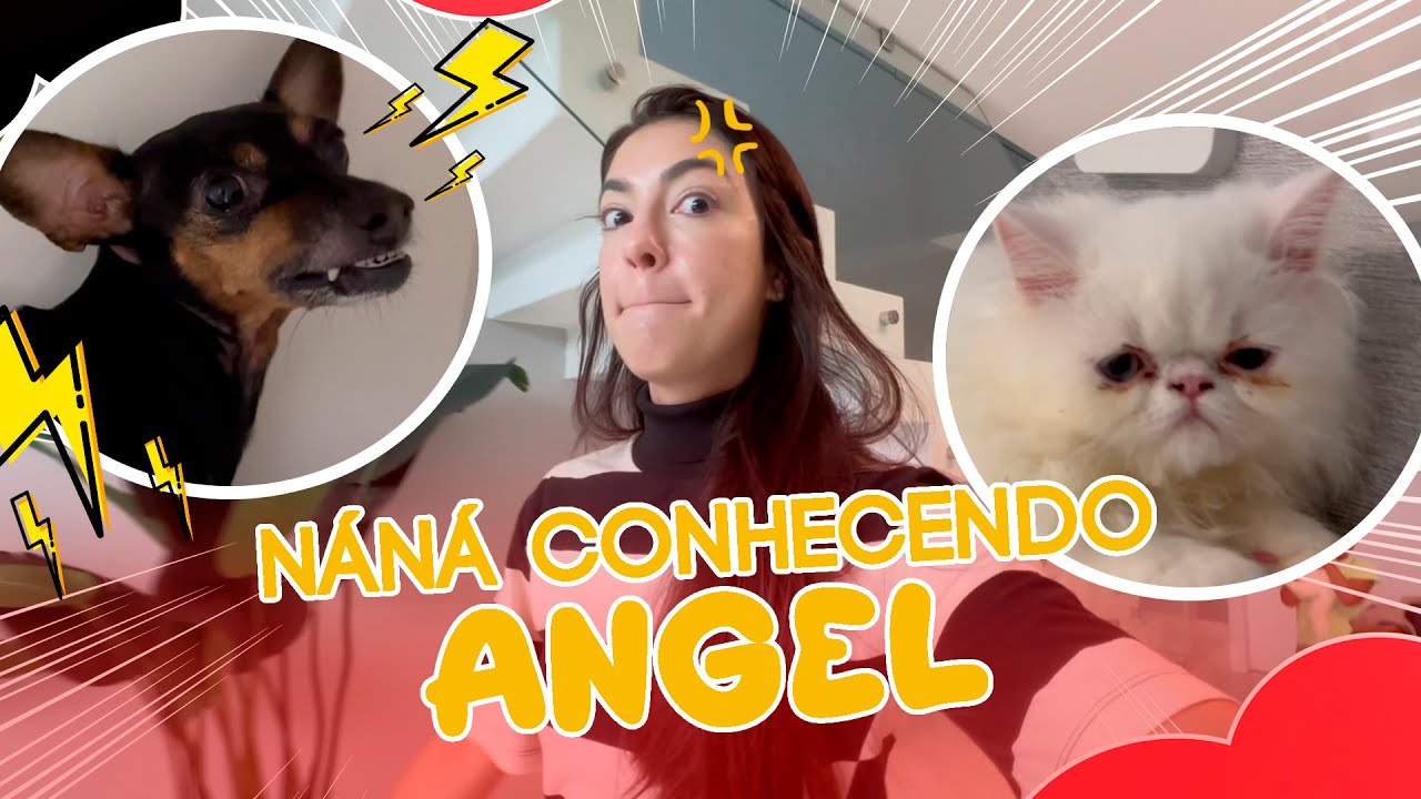 NANÁ e ANGEL O ENCONTRO - YouTube