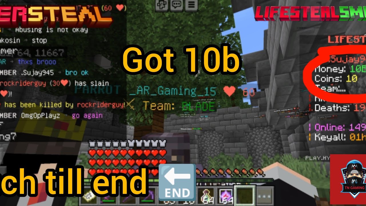 How I Got 10B Money in this popular Lifesteal server HYPERSTEAL - YouTube