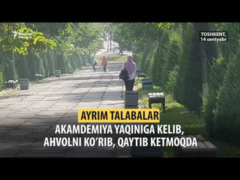 Ислом академиясида ҳижоб ўрнига парик кийишмоқда