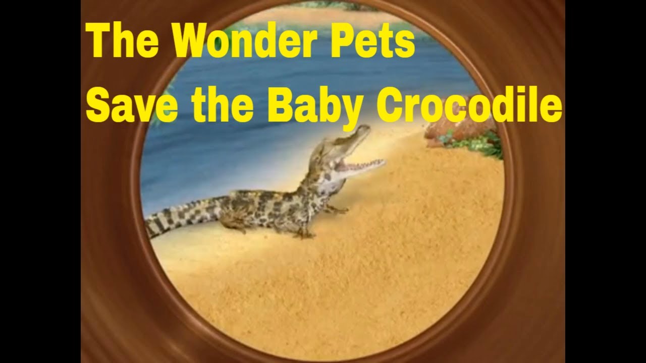 The Wonder Pets Save the Baby Crocodile - YouTube