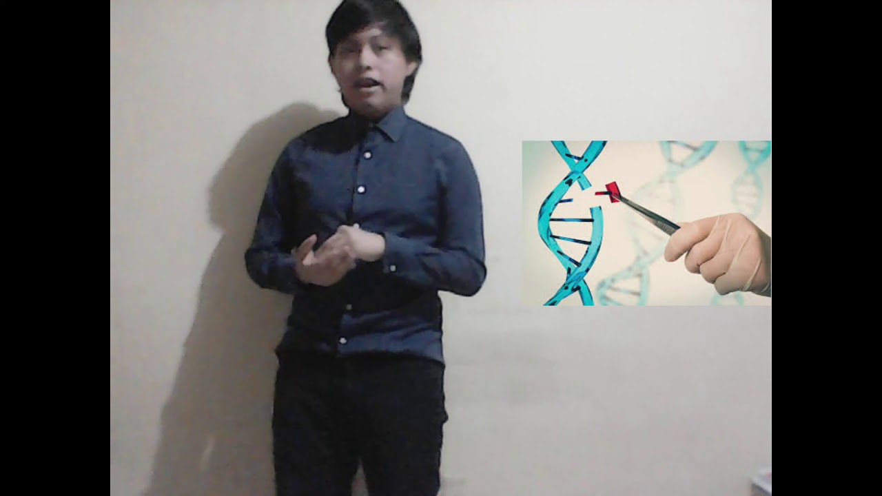 Obesidad Discurso Comcom - YouTube