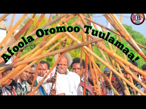 New Ethiopia Music/New Oromo Music/Afoola Oromoo Tuulamaa 2023! - YouTube