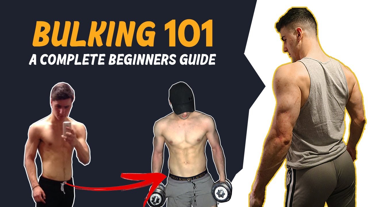 Bulking 101: Complete Beginners Guide to Lean Bulking | How to Bulk for ...
