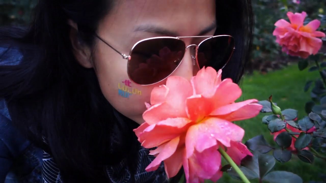 Smell-O-Vision - YouTube