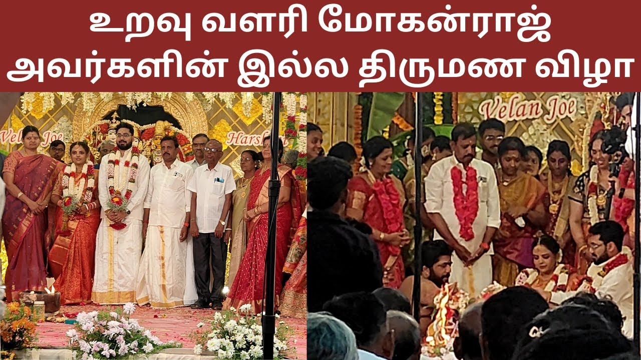 உறவு வளரி மோகன்ராஜ் அவர்களின் இல்ல திருமண விழா | Tamil valaris - YouTube
