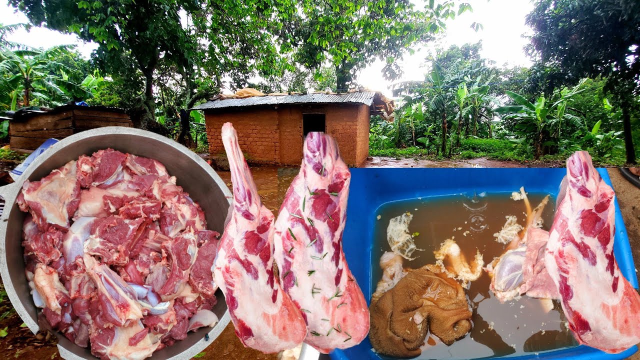 African village life cooking boiled and spiced whole goats meat 🍖 - YouTube