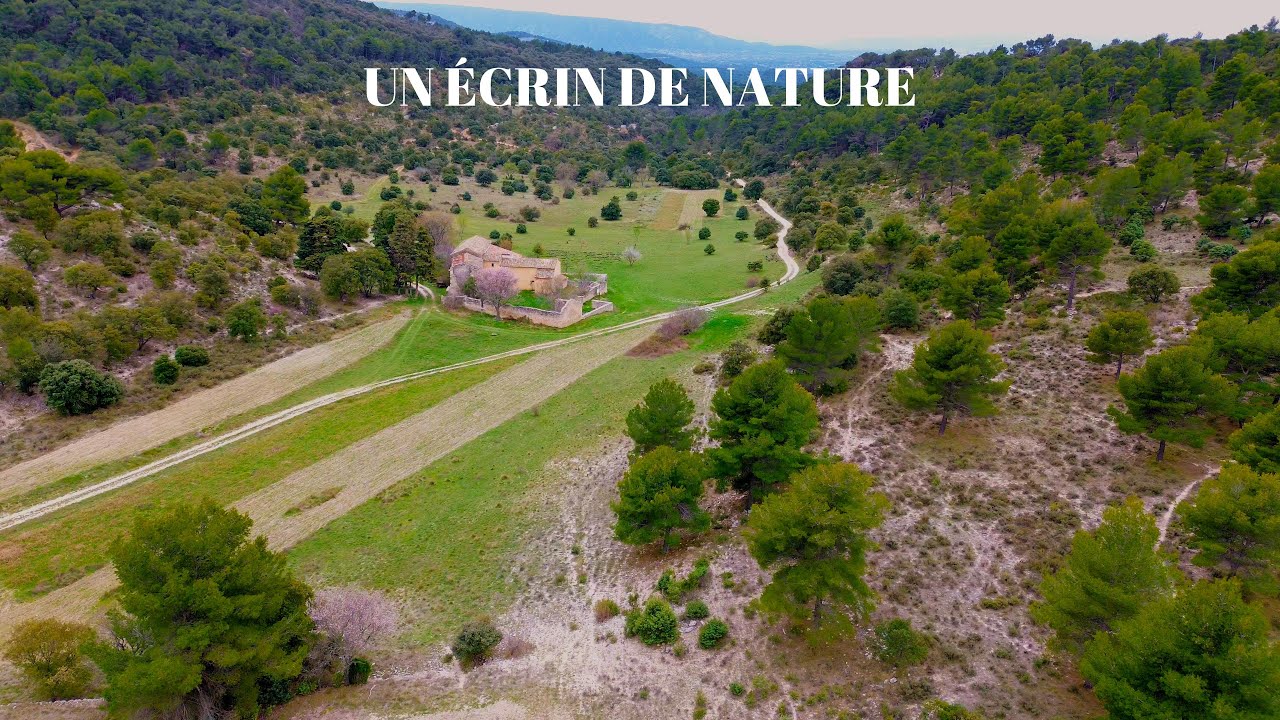 UN BAIN DE NATURE - Saumane de Vaucluse - YouTube